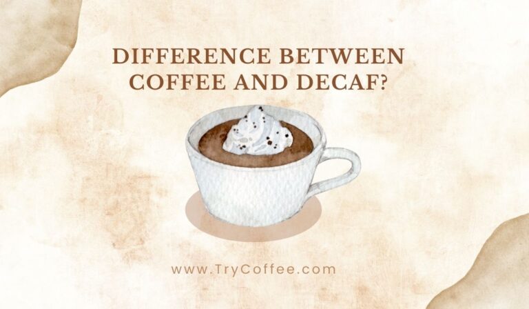 Difference Between Coffee and Decaf? (A Clear Concept) - Try Coffee