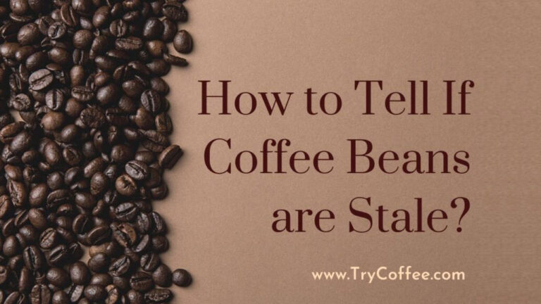 How to Tell If Coffee Beans are Stale? (Effective Tips) - Try Coffee